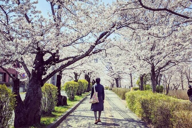 Full-Day Private Nikko Tour from Tokyo wd English Speaking Driver - Summary