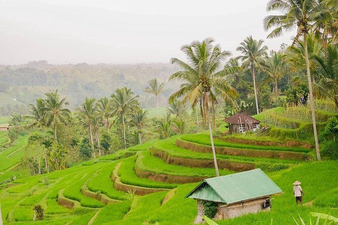 Full-Day Private North Bali Tour with Free WiFi - FAQs