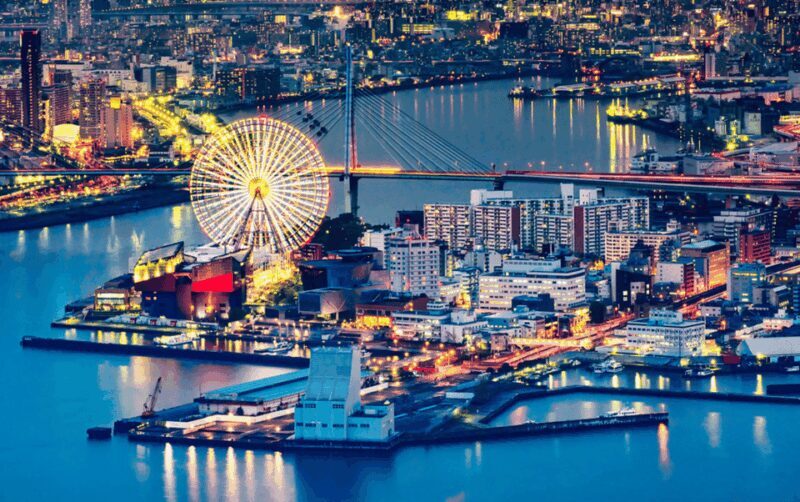 Full Day Private Osaka City Tour with EnglishSpeaking guide - Who Will Love This Tour?