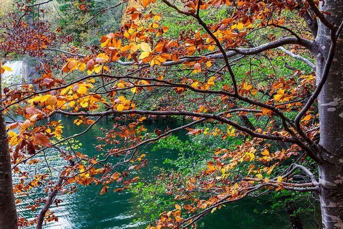 Full-Day Private Plitvice Lakes National Park Tour from Split - Cost and Value