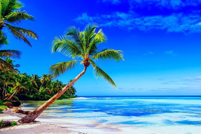 Full-Day Private punta cana saona Tour by Speedboat - Final Thoughts: Who Will Love This Tour?