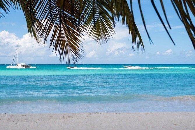 Full-Day private Punta Cana saona Tour by Speedboat - Practical Details That Matter