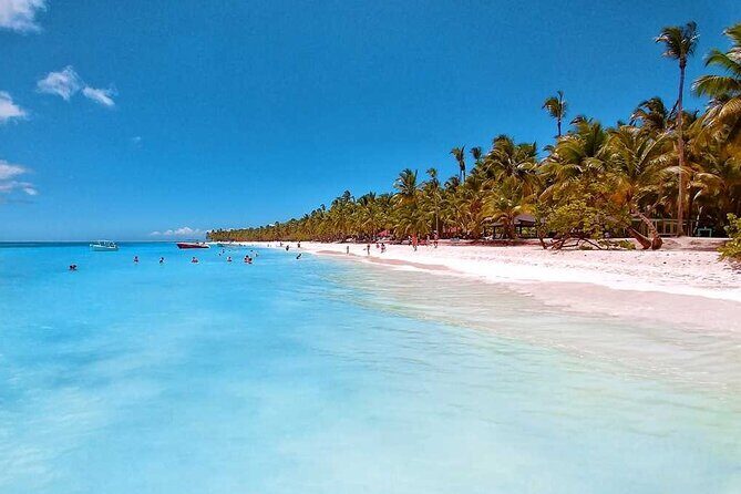 Full-Day private Punta Cana saona Tour by Speedboat - Who Would Enjoy This Tour?