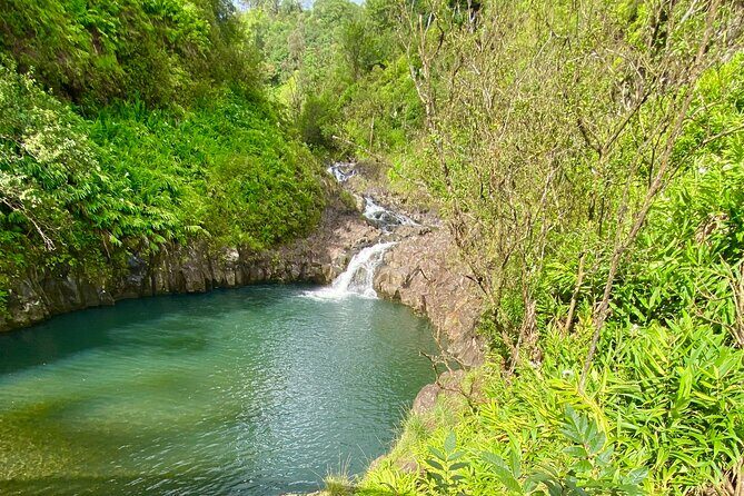 Full Day Private Road Tour to Hana - Introduction: Why Choose a Private Tour to Hana?
