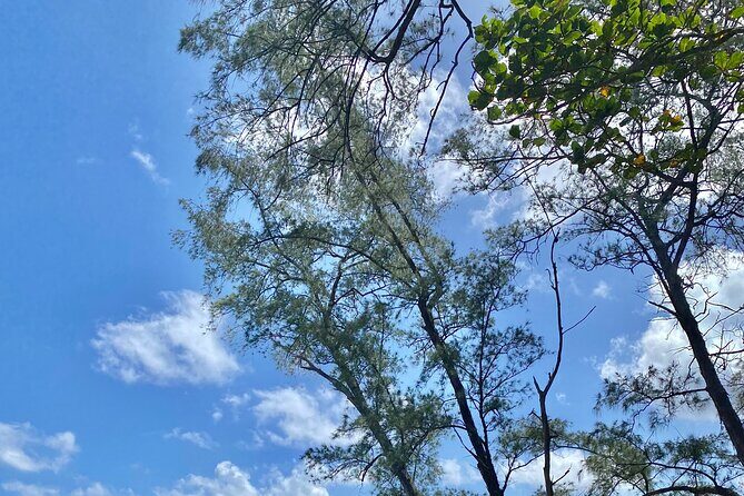 Full Day Private Road Tour to Hana - Why This Tour Stands Out