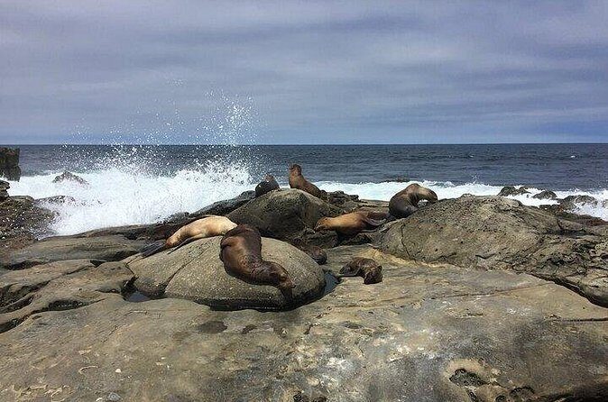 Full Day Private SD Tour from Coronado Island - FAQs