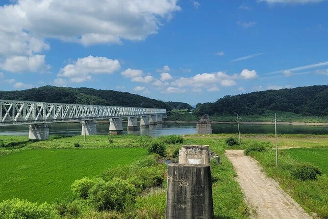 Full Day Private Seoul Tour for foodies - Final Thoughts