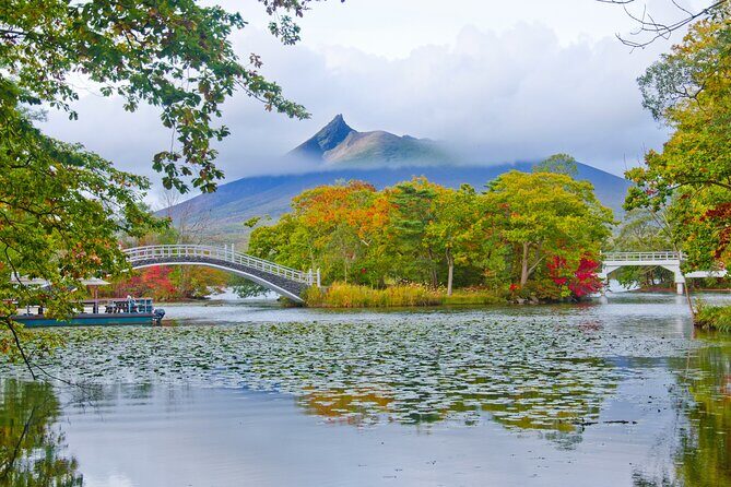 Full-Day Private Shore Tour Hakodate Highlights by Van - Key Points
