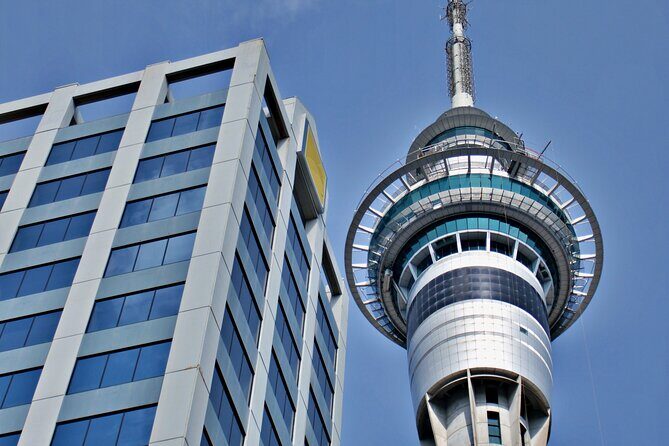Full Day Private Shore Tour in Auckland from Auckland Cruise Port - Historic and Artistic Highlights