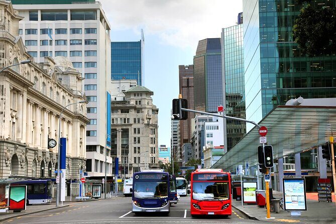 Full Day Private Shore Tour in Auckland from Auckland Cruise Port - FAQ