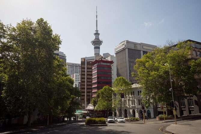 Full Day Private Shore Tour in Auckland from Bay Of Islands Port - Final Thoughts: Who Will Appreciate This Tour?