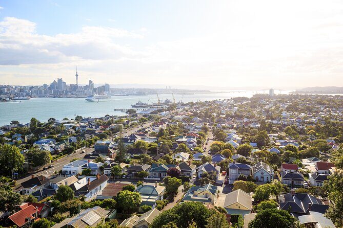 Full Day Private Shore Tour in Auckland from Tauranga Cruise Port - Analysis of Value and Practicalities