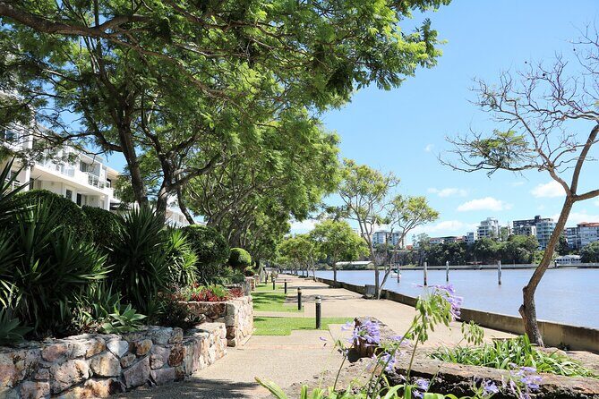 Full Day Private Shore Tour in Brisbane from Brisbane Cruise Port - Real Traveler Insights (Based on reviews)