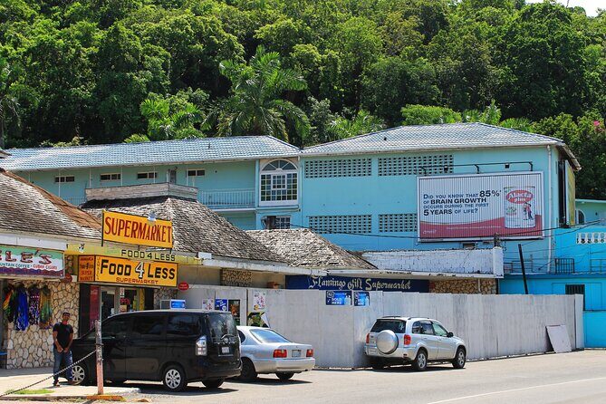 Full Day Private Shore Tour in Montego Bay from Montego Bay Port - Who Is This Tour Best For?