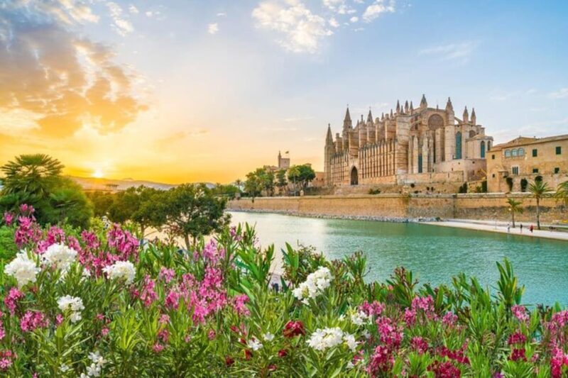 Full Day Private Shore Tour in Palma de Mallorca from Port - Who Would Love This Tour?