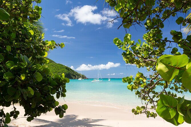 Full Day Private Shore Tour in St Maarten from Philipsburg Port - Flexibility and Reliability