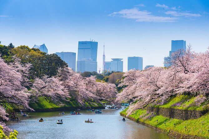 Full Day Private Shore Tour in Tokyo from Tokyo Cruise Port - Visiting the Iconic Landmarks