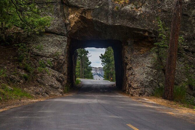 Full-Day Private Sightseeing Tour in South Dakota - Key Points