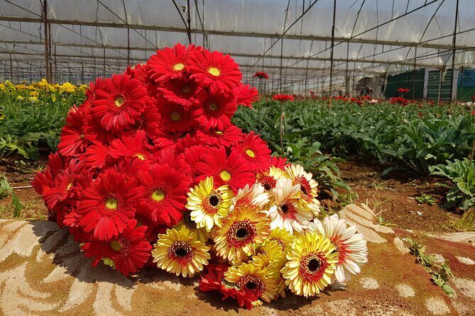 Full Day Private Silk Village And Elephant Waterfall Tour - Practical Details: What You Need to Know