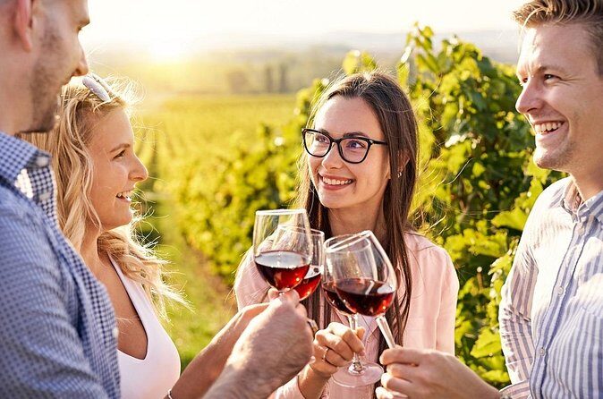 Full-Day Private Sonoma Valley Wine Tour from San Francisco - What Real Travelers Say (From Existing Reviews)