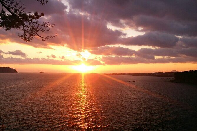 Full-Day Private South and West of Jeju Island Taxi Tour - Key Points