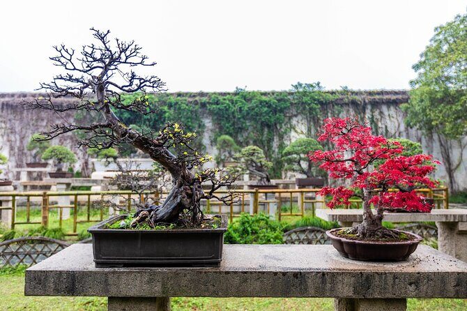 Full-Day Private Suzhou and Tongli Tour by Bullet Train - Why This Tour Stands Out