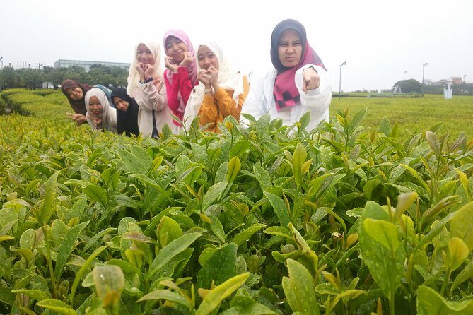 Full-day Private Taxi Tour West of Jeju island - Key Points