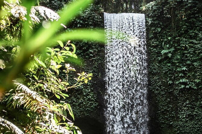 Full Day Private Tour All Inclusive Hidden Gems Bali Waterfall - The Sum Up: Why Choose This Tour?