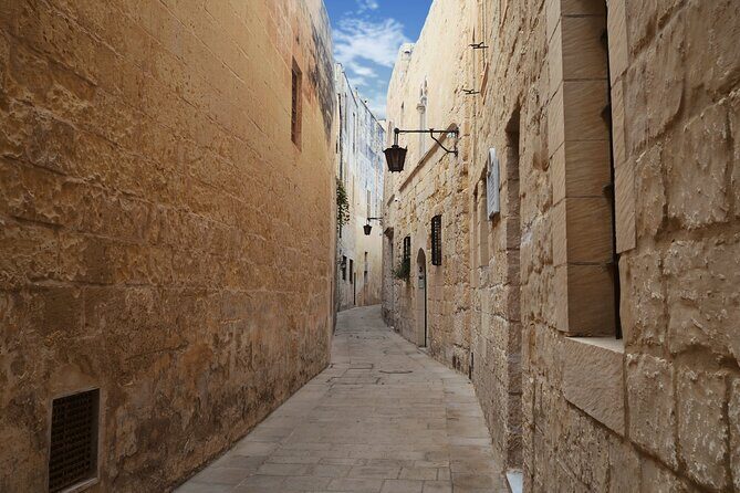 Full Day Private Tour around the Island in Malta - Who Will Love This Tour?