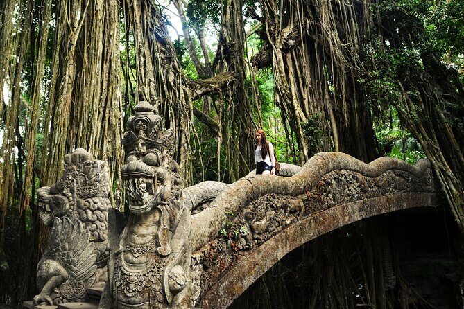 Full Day Private Tour Best of Ubud - Final Thoughts: Who Will Benefit Most from This Tour?