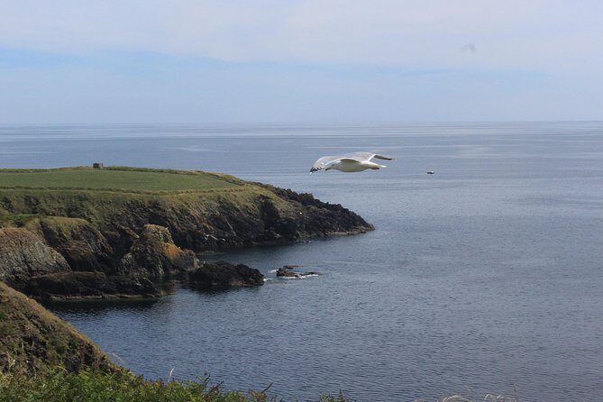 Full day Private Tour from Waterford - Key Points