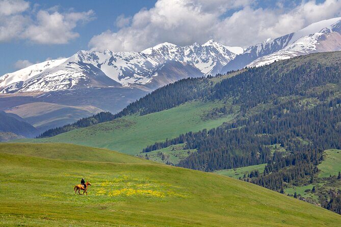 Full Day Private Tour in Assy Plateau - Introduction: A Natural Escape Just Outside Almaty