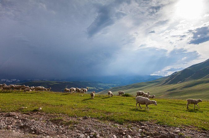 Full Day Private Tour in Assy Plateau - The Sum Up