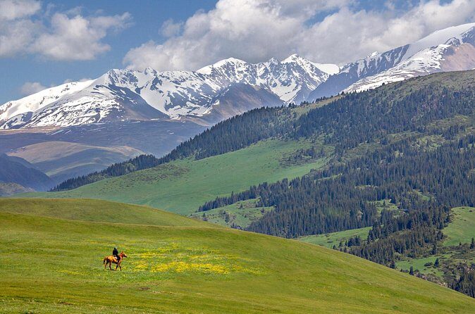 Full Day Private Tour in Assy Plateau - FAQ