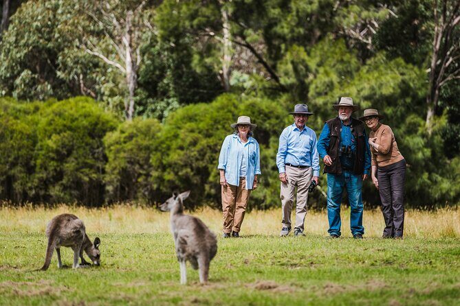 Full Day Private Tour in Canberra from Canberra hotels - FAQs