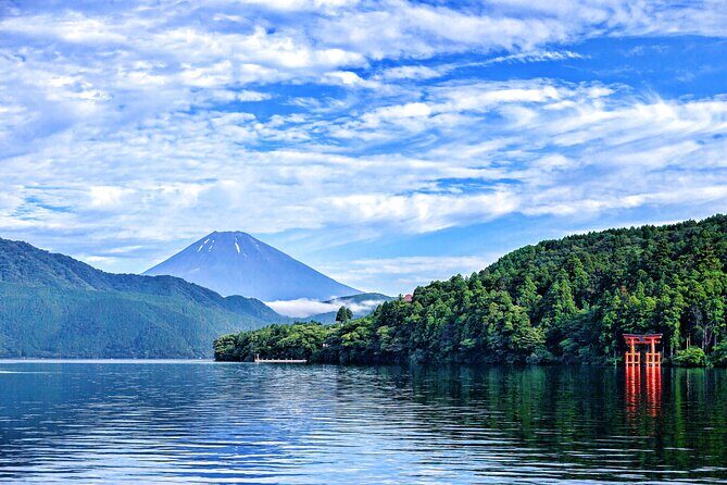 Full Day Private Tour in Hakone - An In-Depth Look at What the Tour Offers