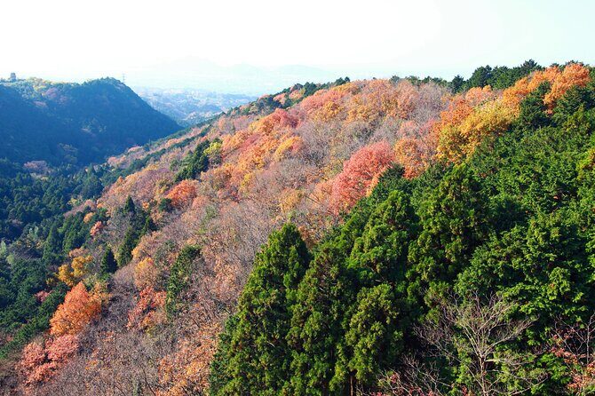 Full Day Private Tour in Hakone - FAQ