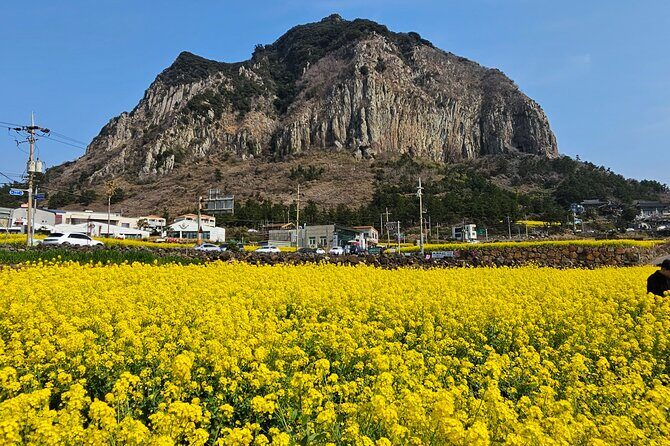 Full-Day Private Tour in Jeju Island - Who Is This Tour Best For?