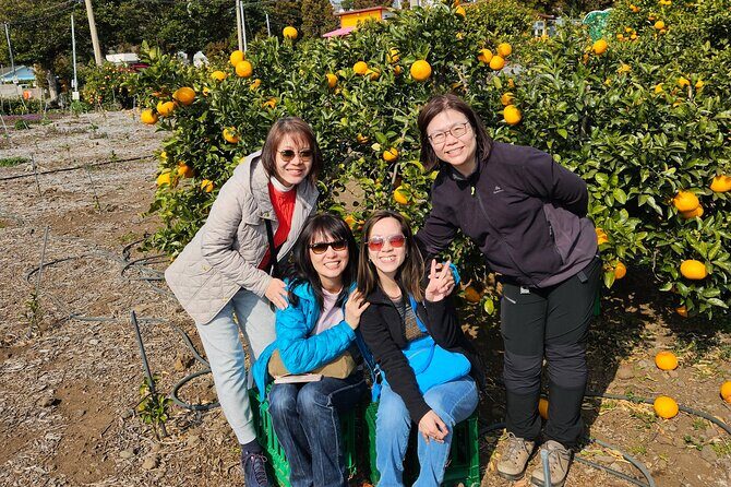 Full-Day Private Tour in Jeju Island - FAQs