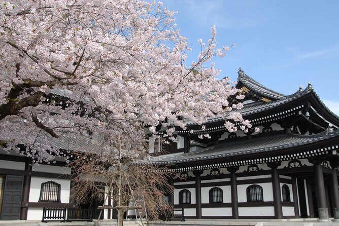 Full Day Private Tour In Kamakura English Speaking Driver - The Sum Up