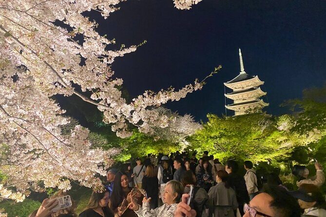 Full Day Private Tour in Kyoto with Pickup - The Sum Up