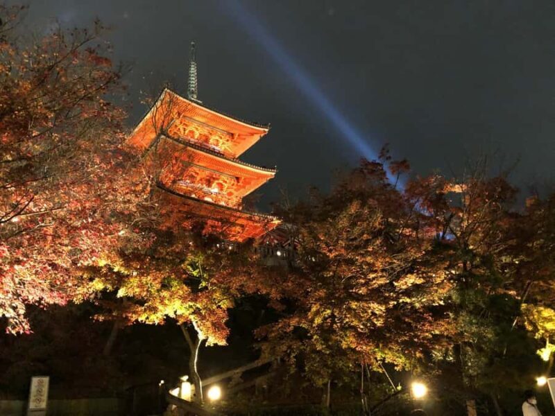 Full Day Private Tour in Kyoto with Private Transportation - A Deep Dive into the Experience