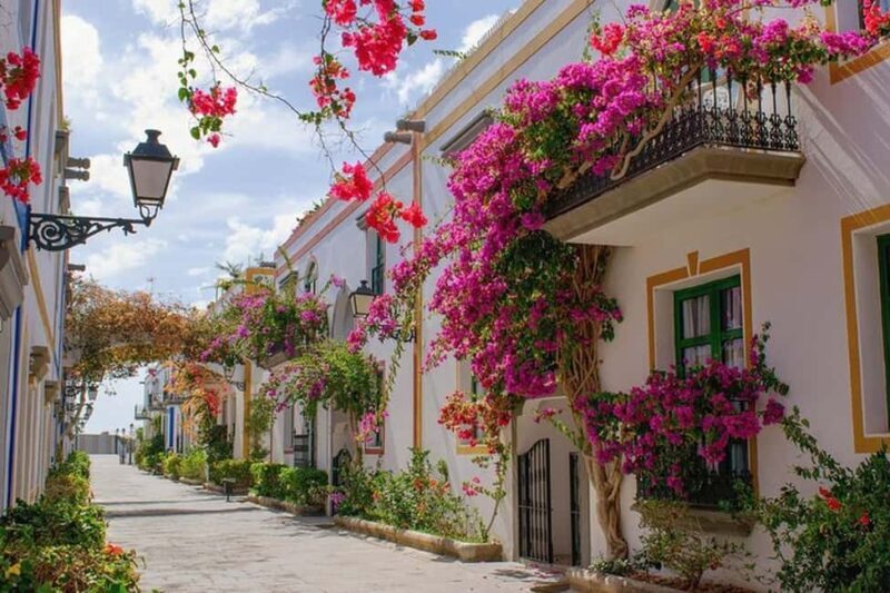 Full Day Private Tour in Las Palmas from Gran Canaria Port - Transportation and Logistics