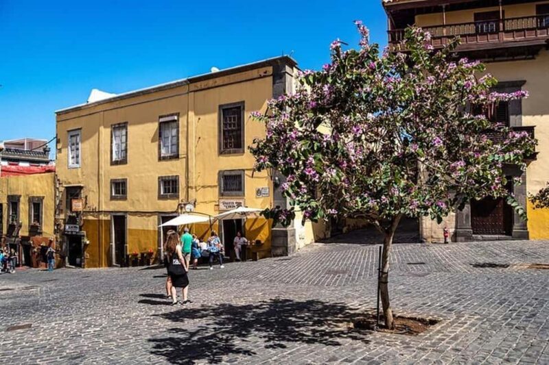 Full Day Private Tour in Las Palmas from Gran Canaria Port - FAQs