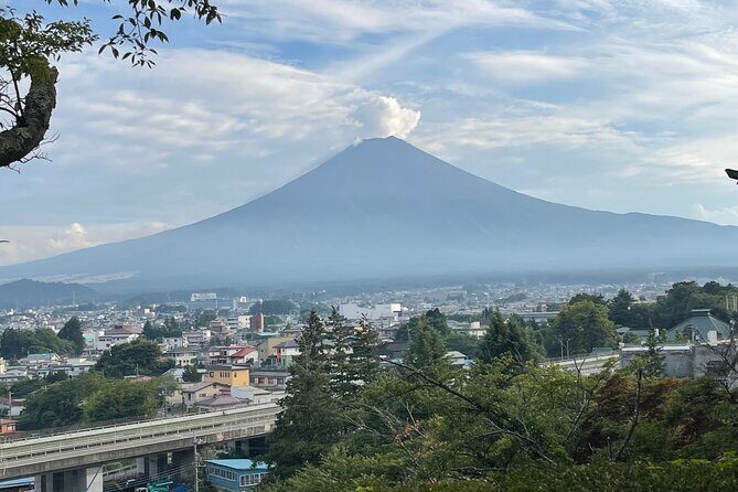 Full Day Private Tour in Mount Fuji and Hakone - Final Thoughts