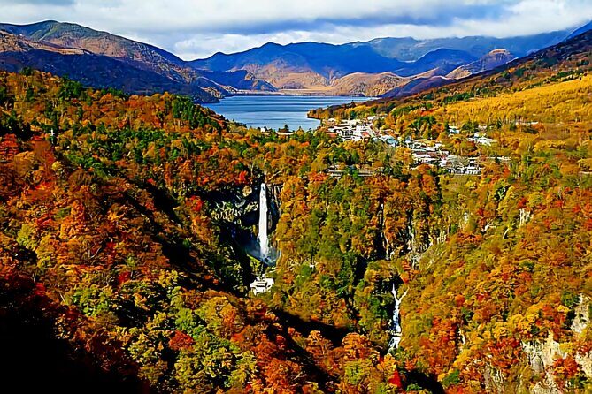 Full Day Private Tour in Nikko - Practicalities and Tips