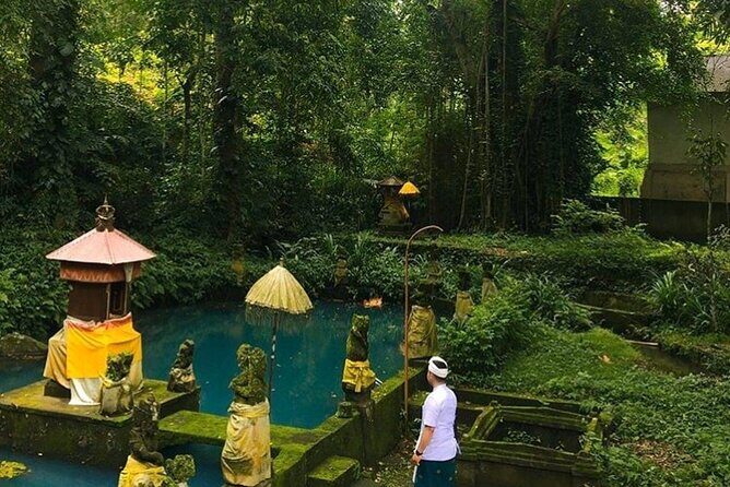 Full Day Private Tour in North Bali - Key Points