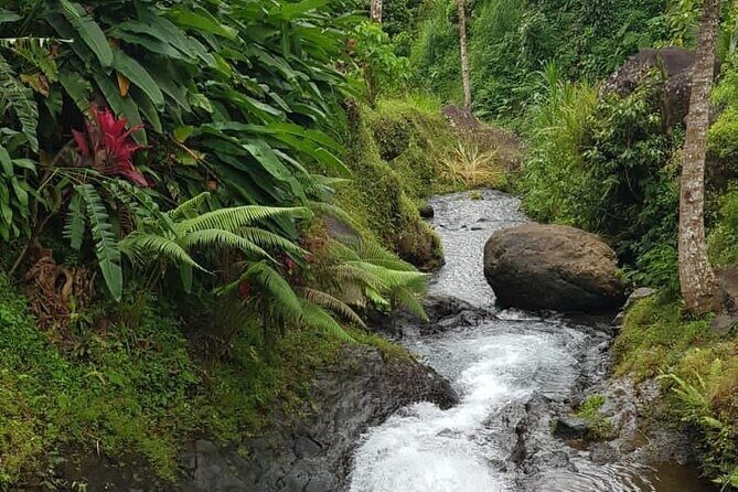 Full Day Private Tour in North Bali - An In-Depth Look at the Full Day Itinerary