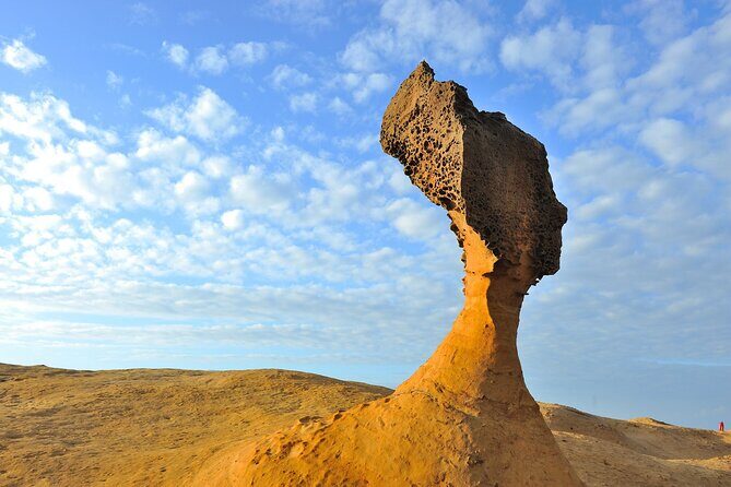 Full-Day Private Tour in Northern Taiwan - Exploring the Natural Wonders at Yehliu Geopark