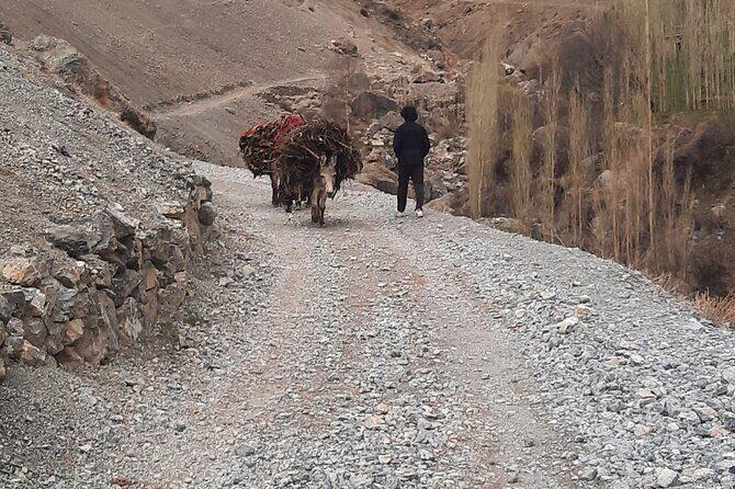 Full Day Private Tour in Seven Lakes from Samarkand - The Sum Up